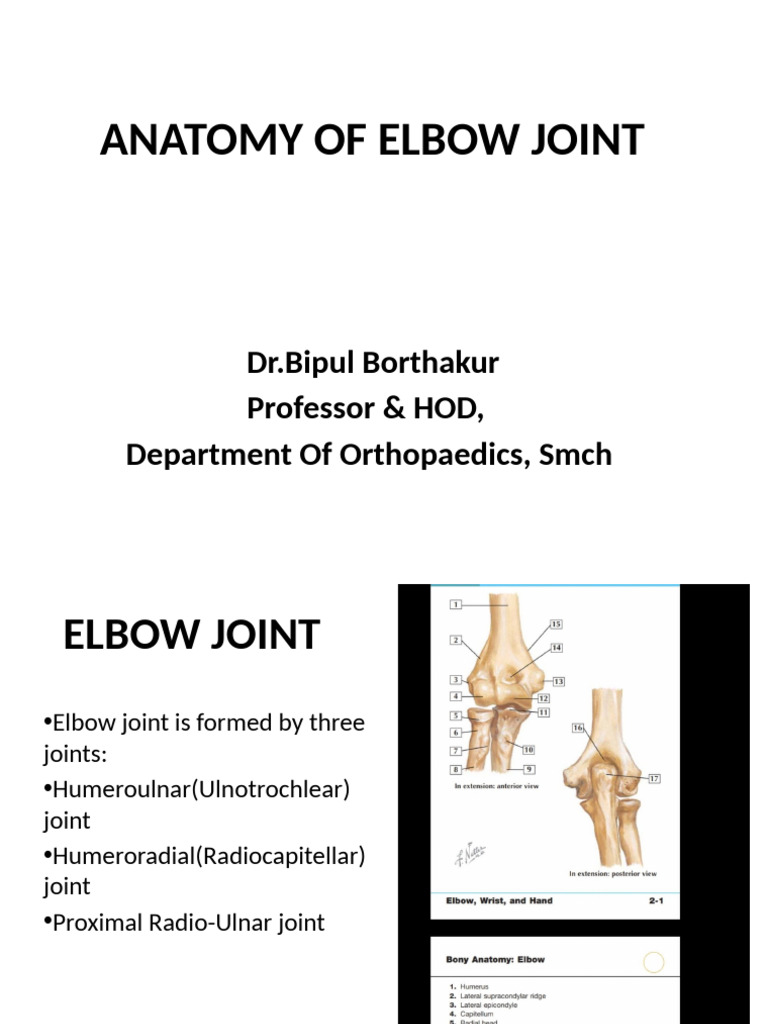 Anatomyofelbowjoint 201221144900 | PDF | Elbow | Human Anatomy