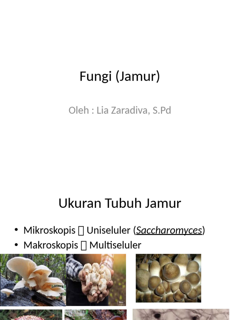 Fungi (Jamur) | PDF