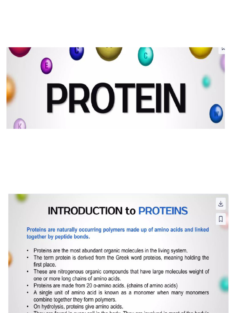 Proteins | PDF
