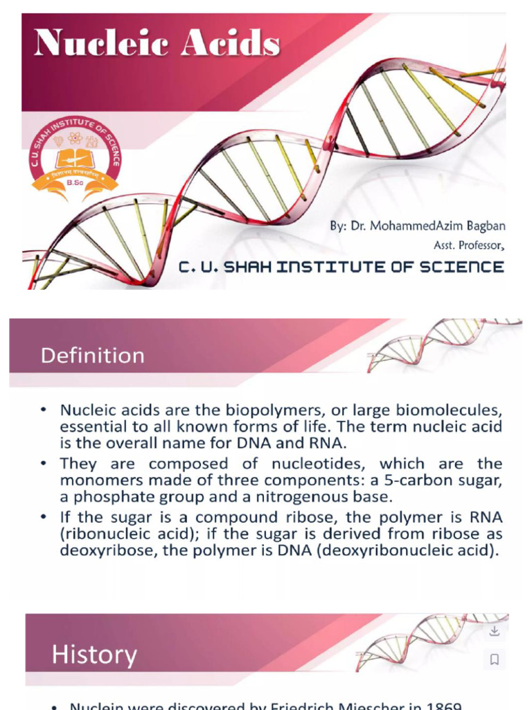 Nucleic Acid | PDF