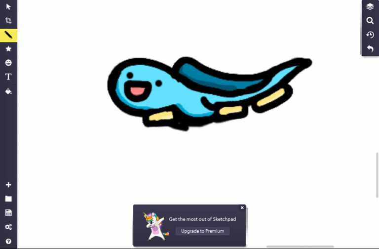 Sketchpad - Draw, Create, Share! 3 | PDF