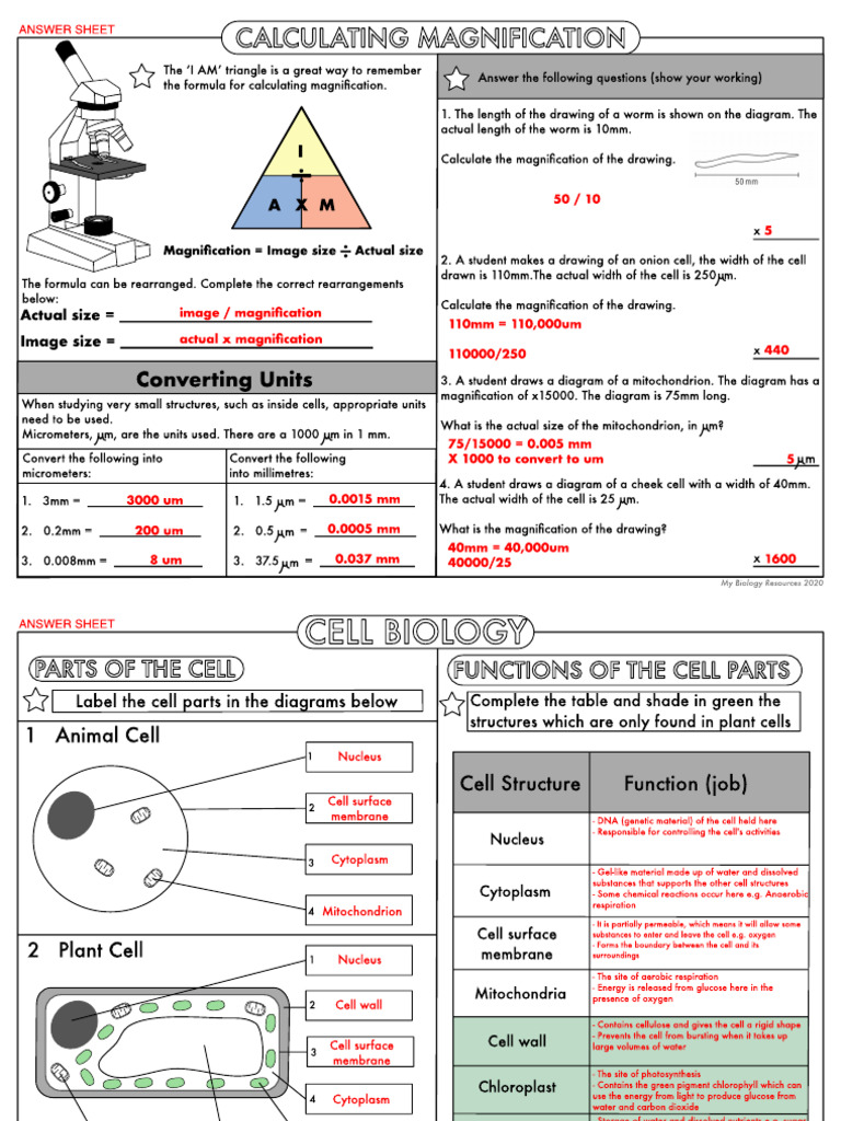 Form 3 Revision Sheet MARK SCHEMES | PDF