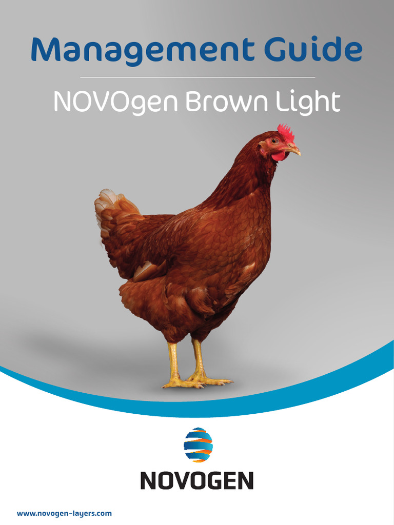 CS Management Guide Novogen Brown Light GB v3 | PDF | Birds | Chicken
