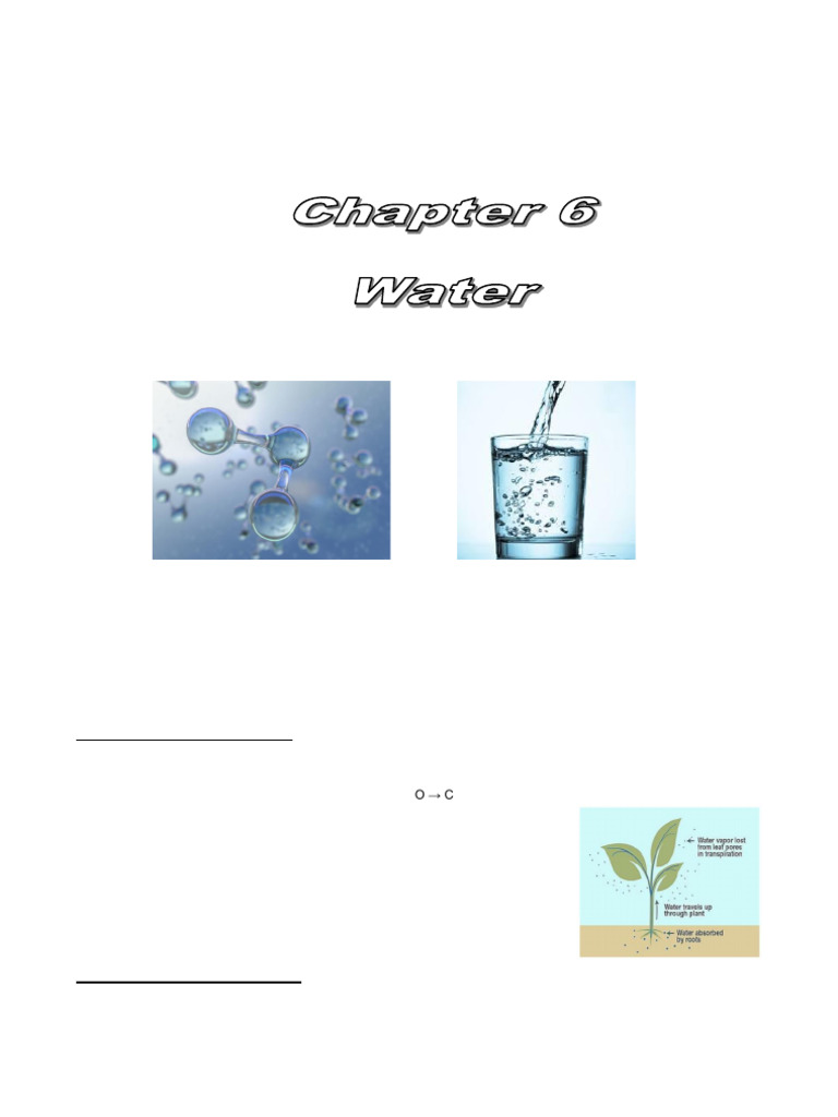 Chapter 6 Water 初中一科学 | PDF