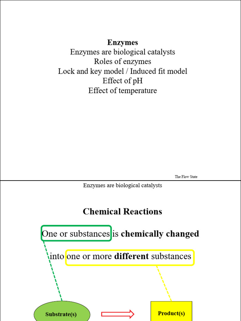 Enzymes igcse 9BC1 | PDF