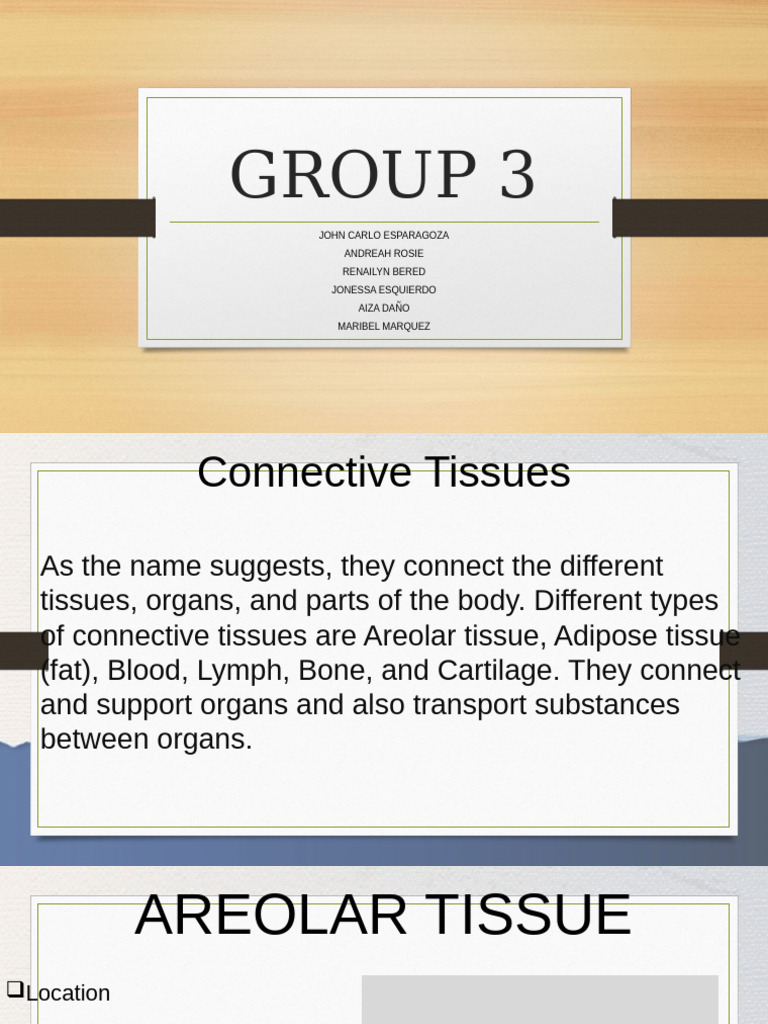 Jabo and Friends | PDF