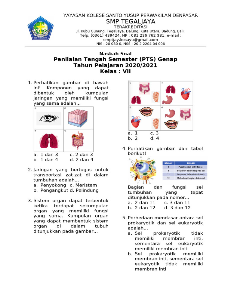 Naskah Soal PTS Genap | PDF