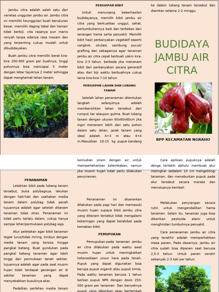 BUDIDAYA JAMBU AIR | PDF
