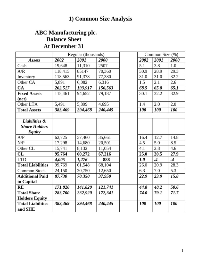 Financial Statements Analysis EX | PDF