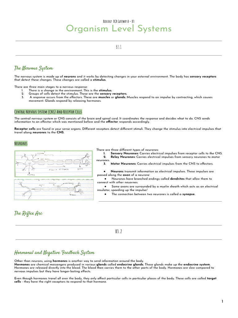 GCSE OCR Biology Notes B3 | PDF