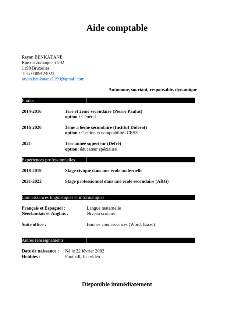 CV Benkatane Rayan | PDF