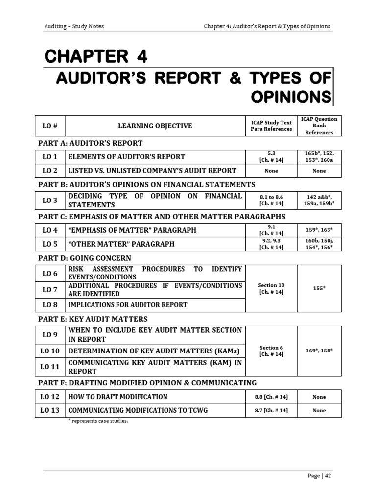 Chapter 4 Auditors Report | PDF