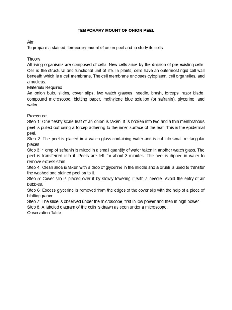 Temporary Mount of Onion Peel | PDF