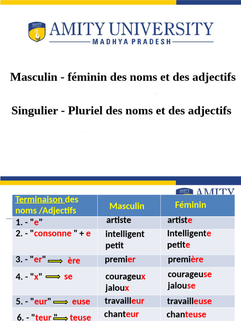 2 - Masculin - Féminin Et Singulier-Pluriel Noms Des Adjectifs | PDF