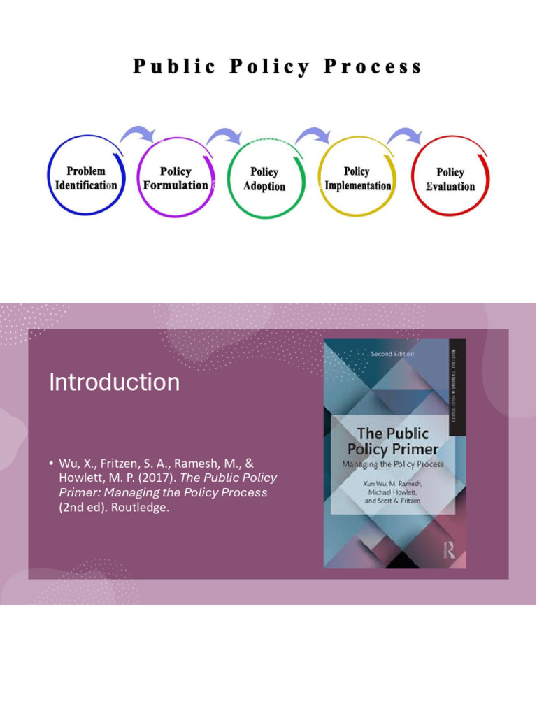 3. public policy process | PDF