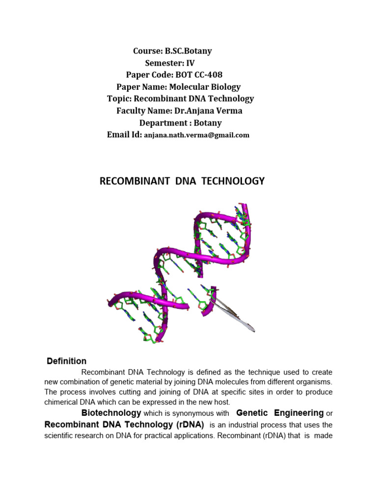 Recombinant DNA Technology Overview | PDF | Molecular Cloning | Wellness