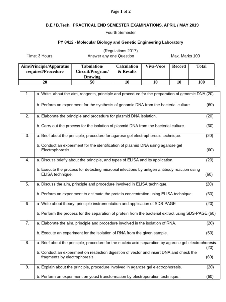 B.E / B.Tech. Practical End Semester Examinations, April / May 2019 | PDF