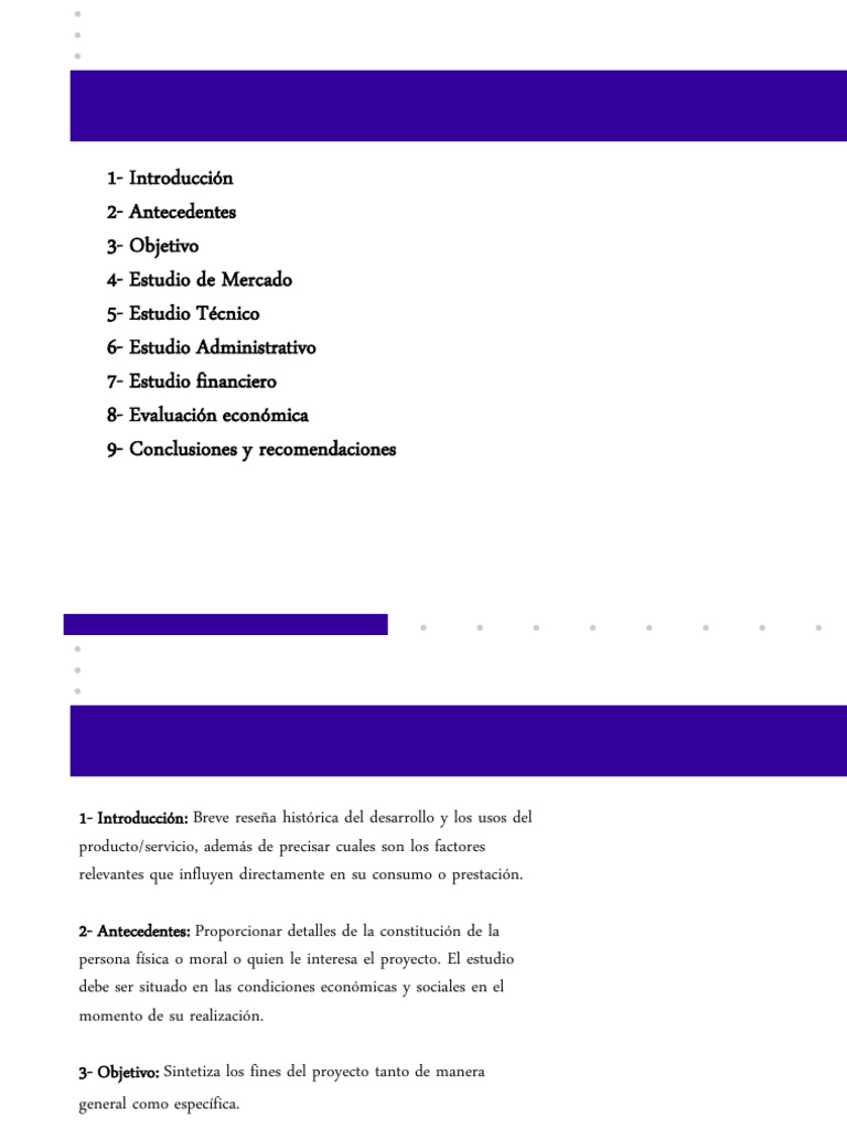 Elementos basicos de un proyecto de inversion | PDF