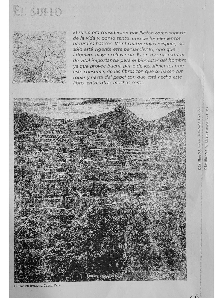 Suelo | PDF