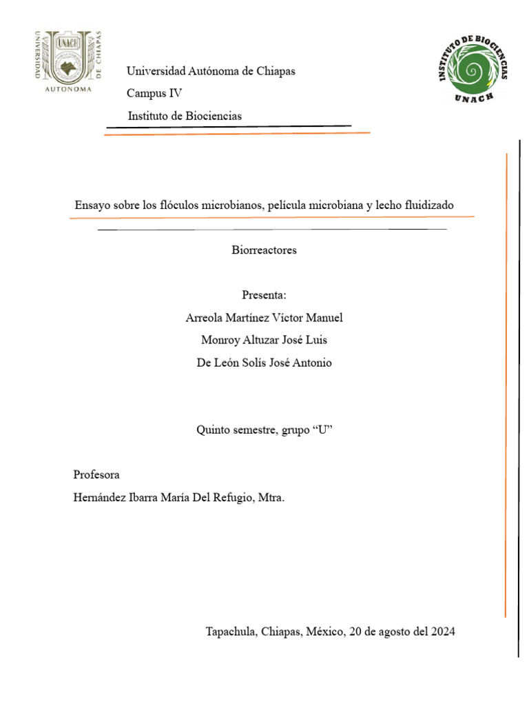 Flóculo Microbiano, Biopeliculas y Lecho Fluidizado | PDF