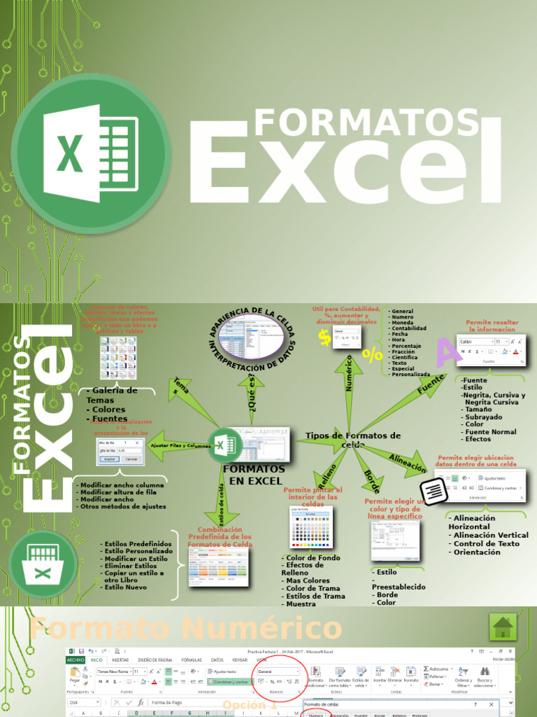 formato de excel | PDF