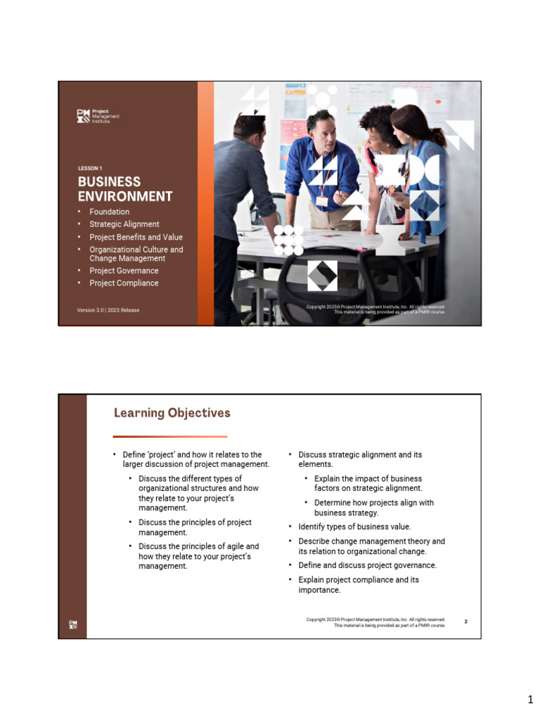 Lesson 1 - Business Environment | PDF