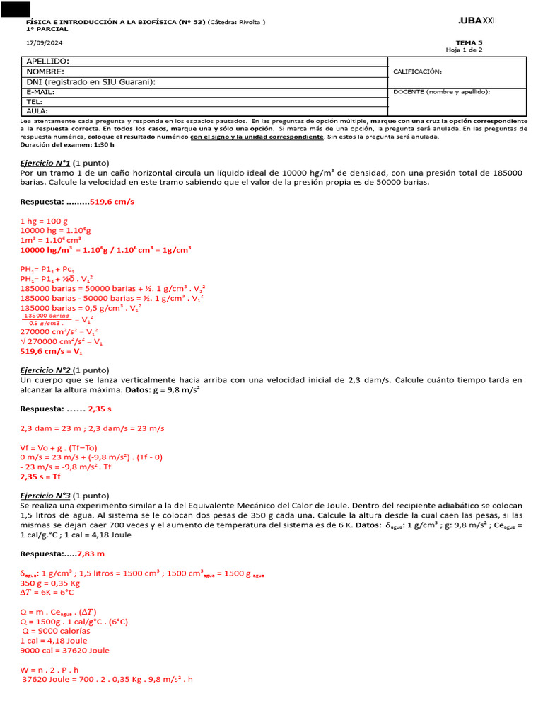 1P 2C 2024 T5 Clave | PDF