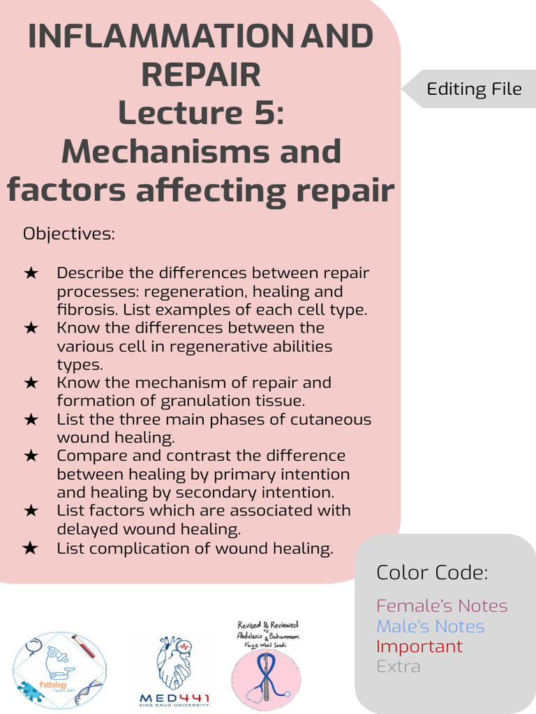 9-Mechanisms and Factors Affecting Healing and Repair Team441 | PDF