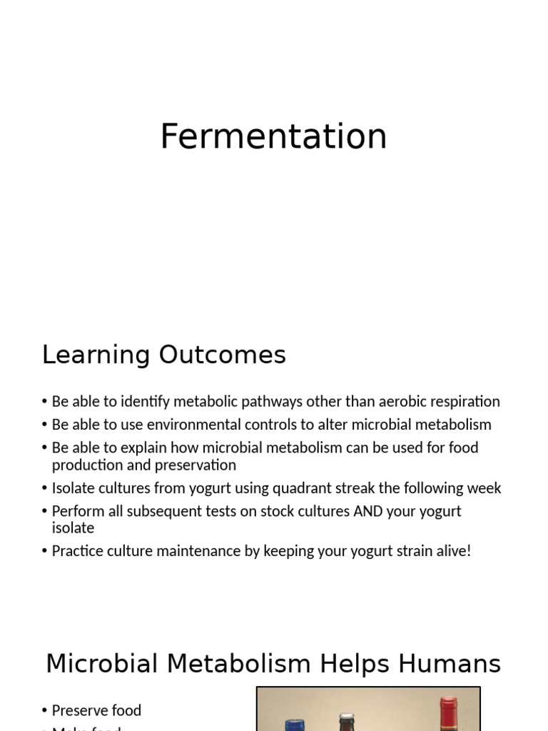 Fermentation PPTX For Recitation | PDF