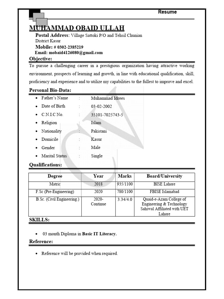 Muhammad Obaid Ullah Resume | PDF
