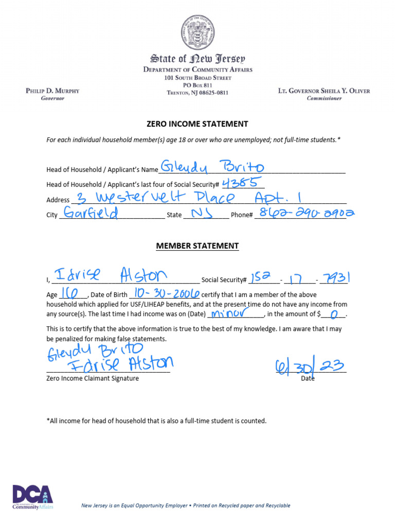 Zero Income Statement | PDF
