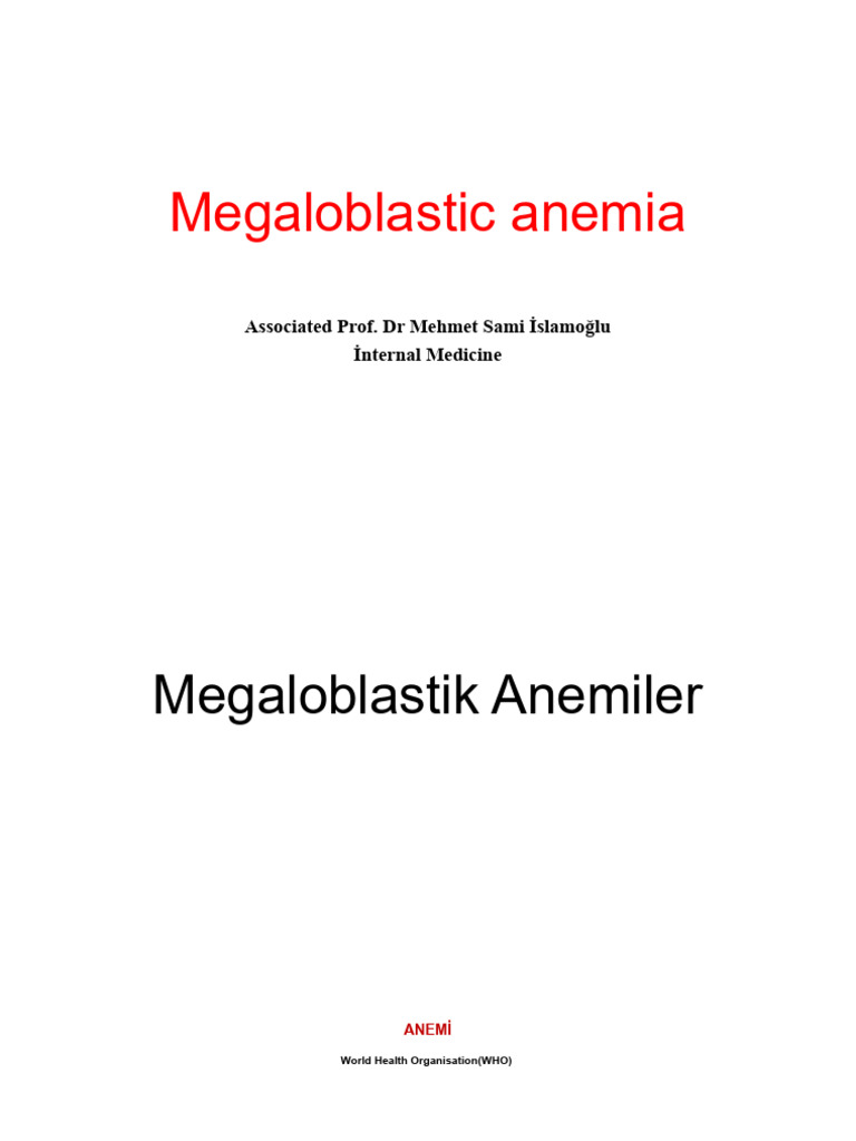 4 - Megaloblastik Anemi | PDF