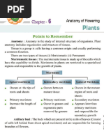 Plant Tissues Notes | PDF | Tissue (Biology) | Plant Stem