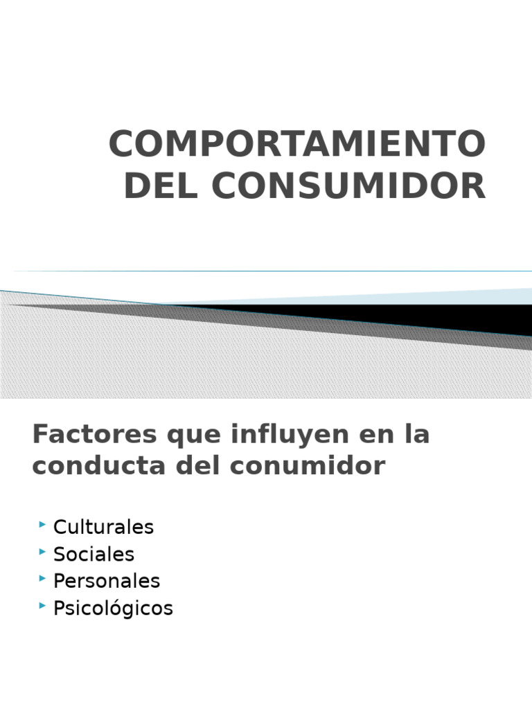 Factores y Etapas del Comportamiento del Consumidor | PDF