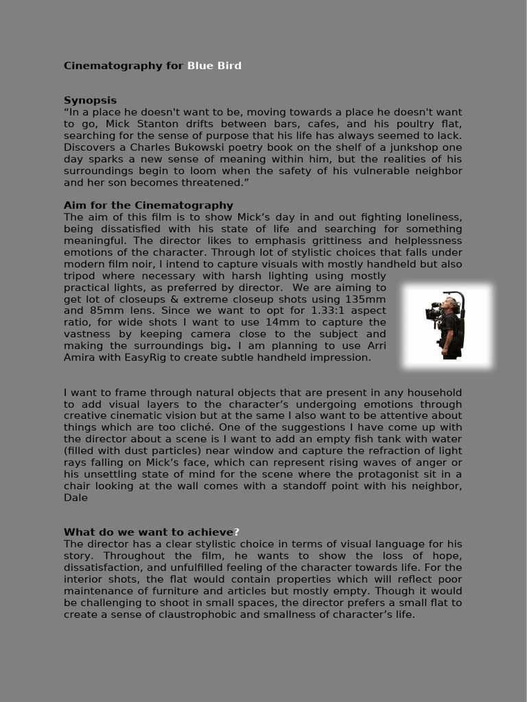 Cinematography For Ryan | PDF