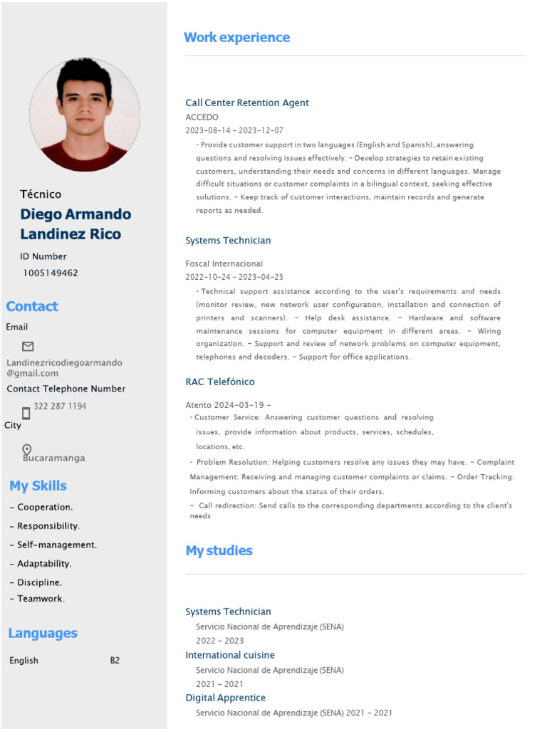 Curriculum Vitae English | PDF