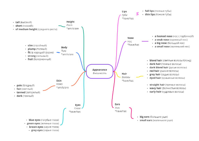 Mind Map | PDF