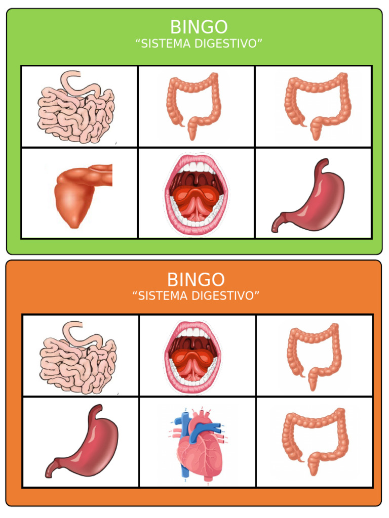 Bingo Sistema Digestivo - 3 Abril | PDF