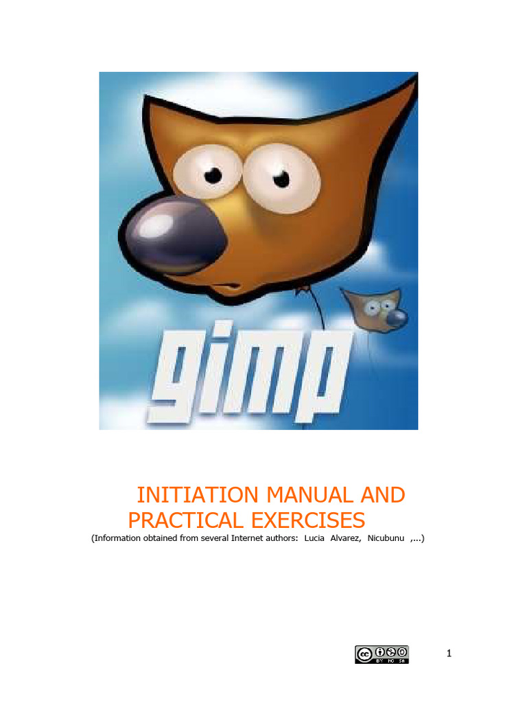 Gimp Manual | PDF