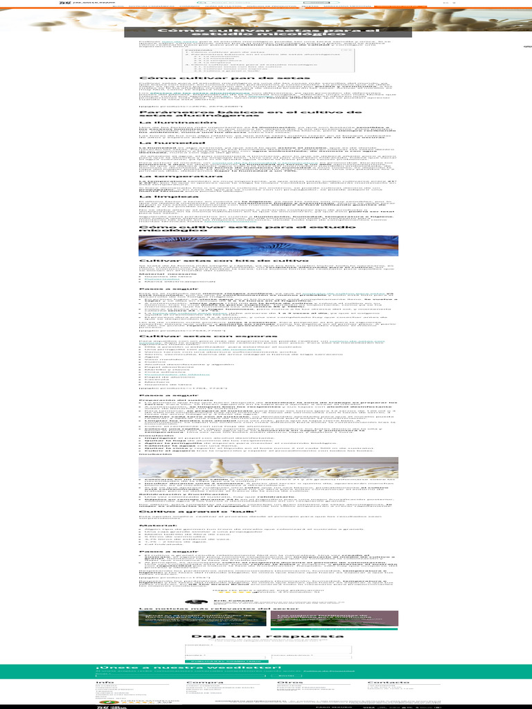 Cómo Cultivar Setas Para El Estudio Micológico en Casa | PDF