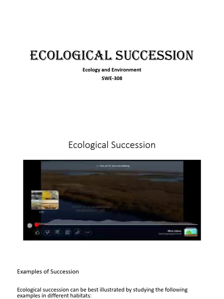 Lec 9 | PDF Lec 9 | PDF