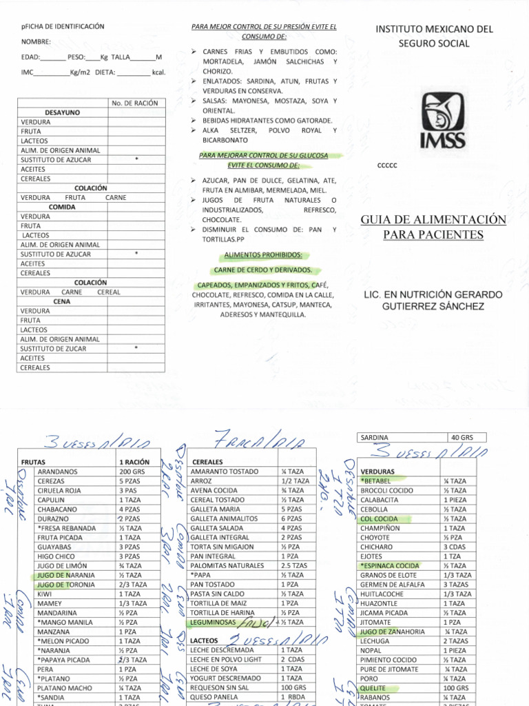 IMSS | PDF