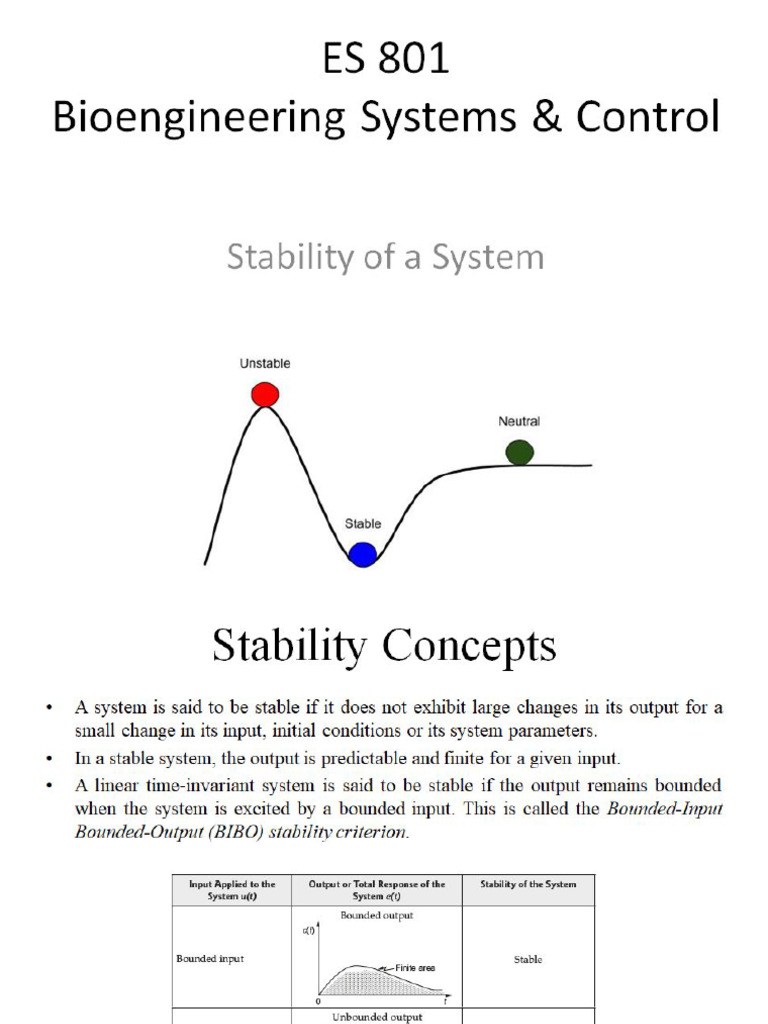 Stability of A System | PDF