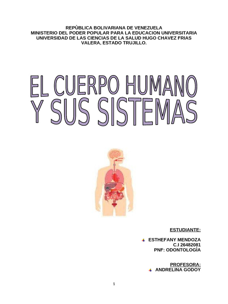 Qué Son Los Sistemas Del Cuerpo Humano | PDF