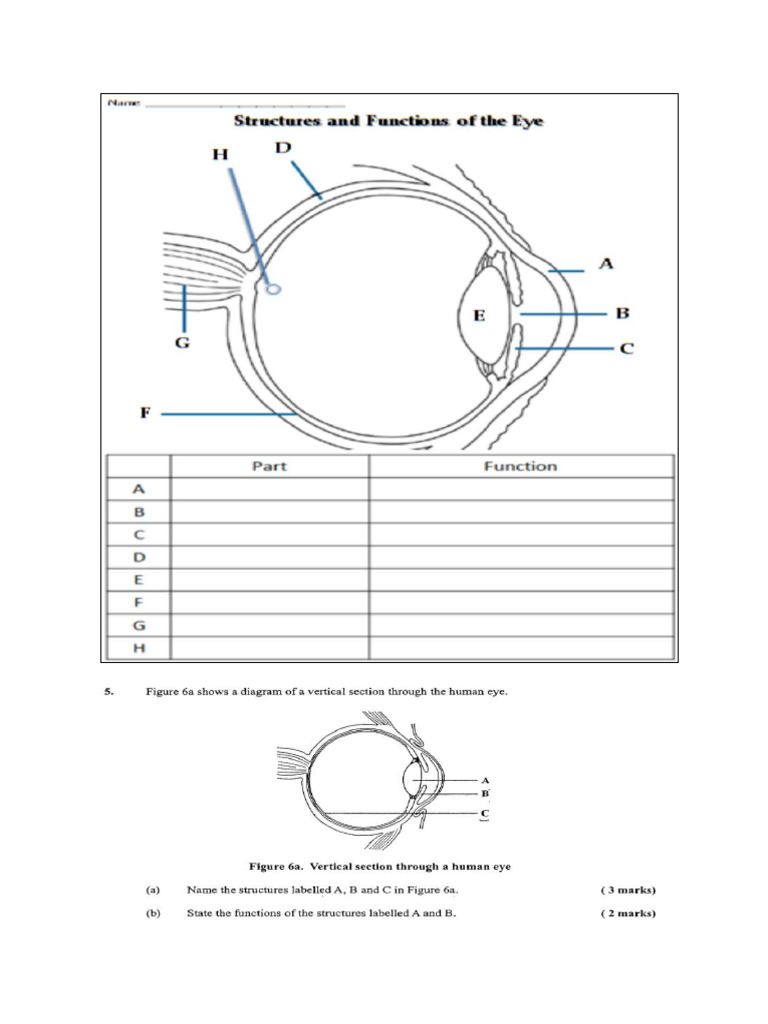 Defects of Vision and Their Correction | PDF