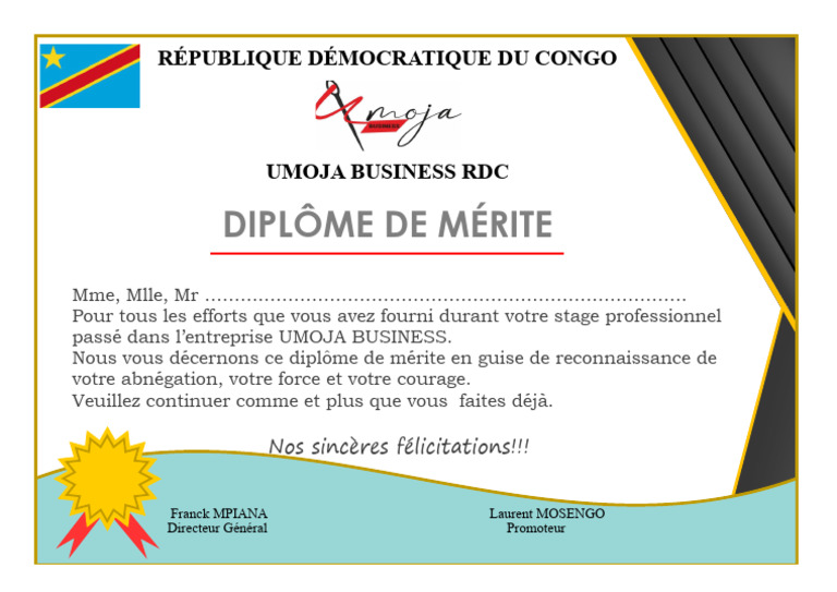 Diplome de Merite | PDF