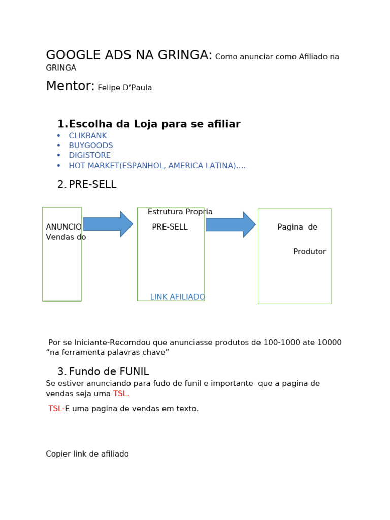 Google Ads Na Gringa | PDF
