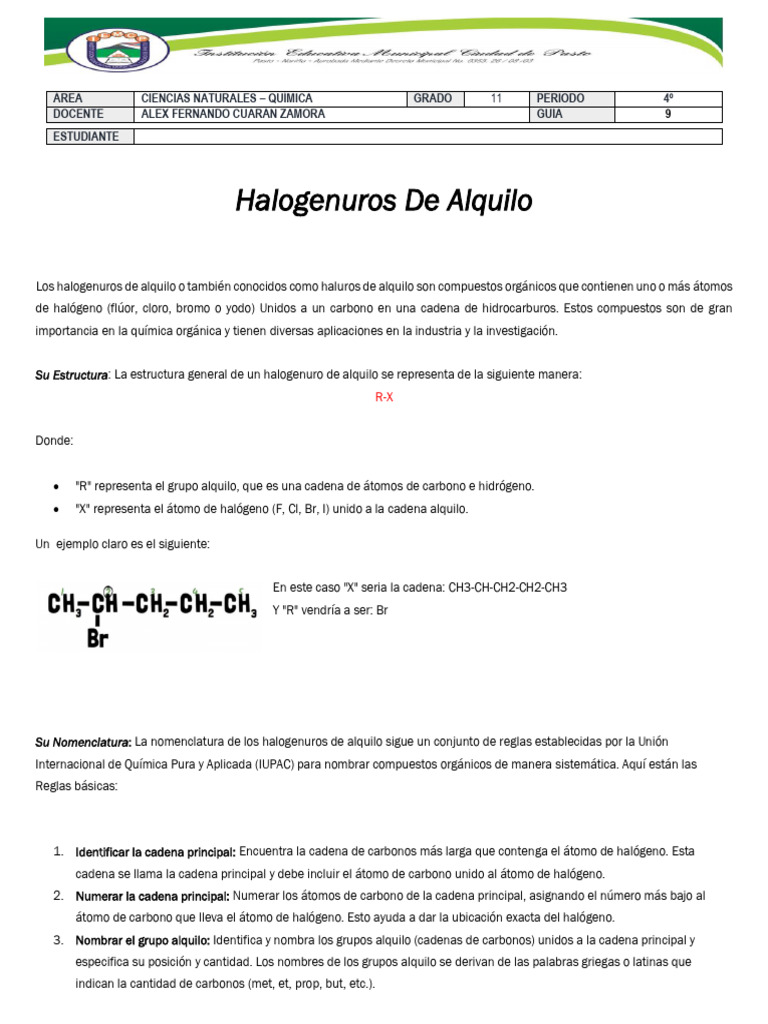 Formato Guia Halogenuros de Alquilo | PDF