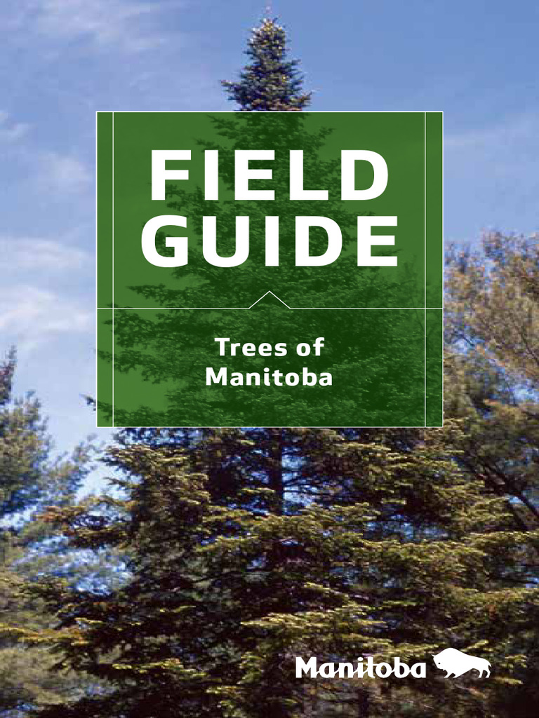 Field Guide | PDF