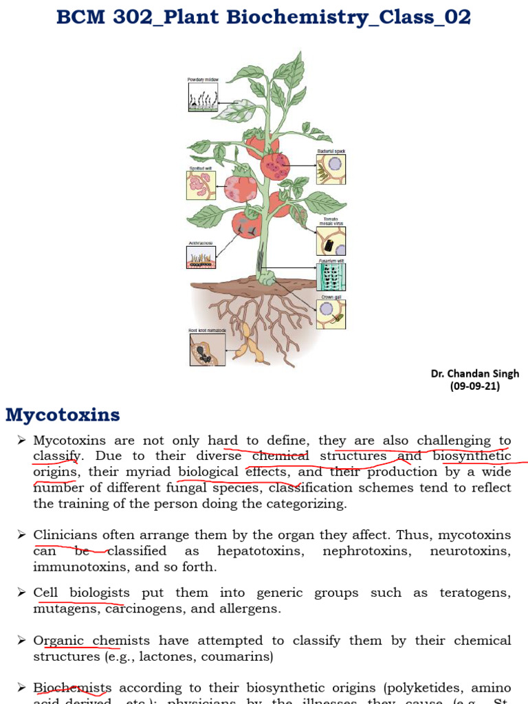 BCM02 Plant Biochemistry Class 02 | PDF